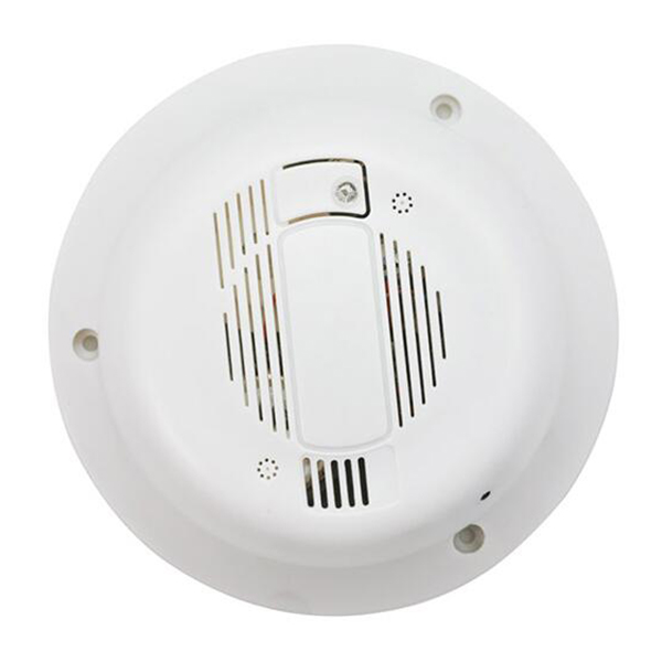 Smoke Detector Nanny Spy Cam