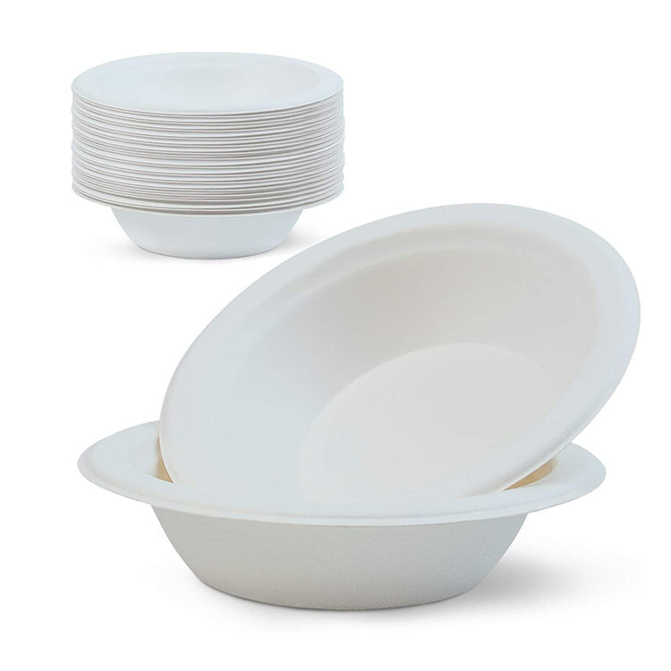 GeoTegrity - Disposable Biodegradable Food Container Salad Round ...