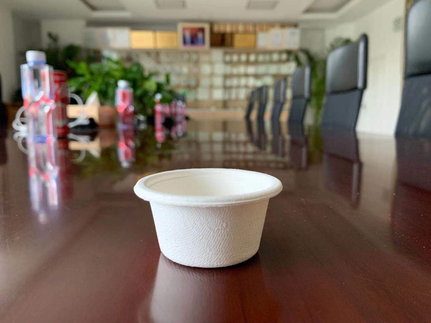 GeoTegrity - Biodegradable Sugarcane Coffee Cup 7oz 9oz 13oz Bagasse ...