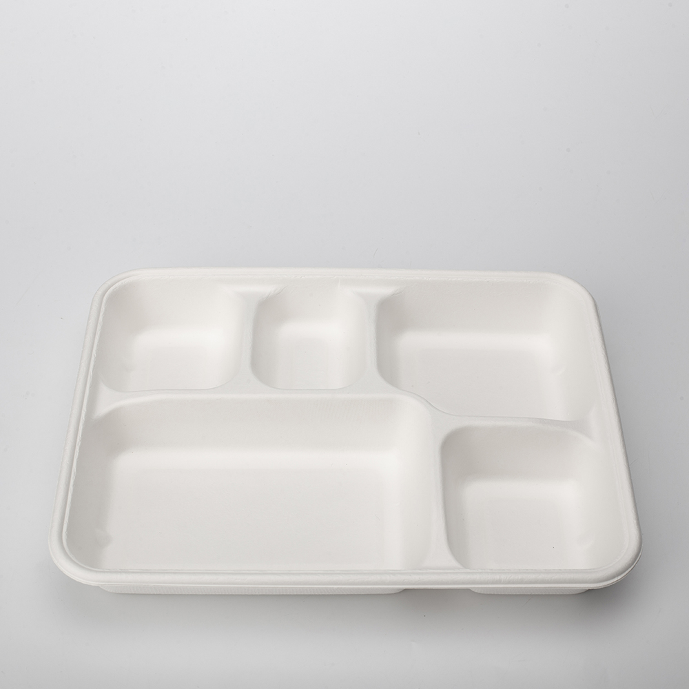Disposable 5 Compartment Tray Takeaway Biodegradable Eco-friendly ...