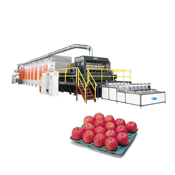 BESURE - ET7200 Fully automatic disposable fruit tray making machine ...