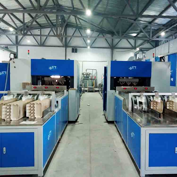 BESURE - Efficient and Productive Fully Automatic Paper Egg Tray ...