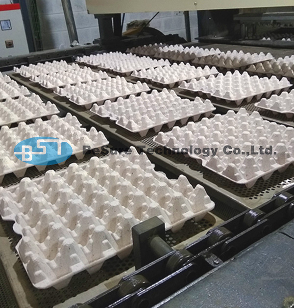 BESURE - BST ETS1200B Low Price Semi-automatic Egg Tray Production Line ...