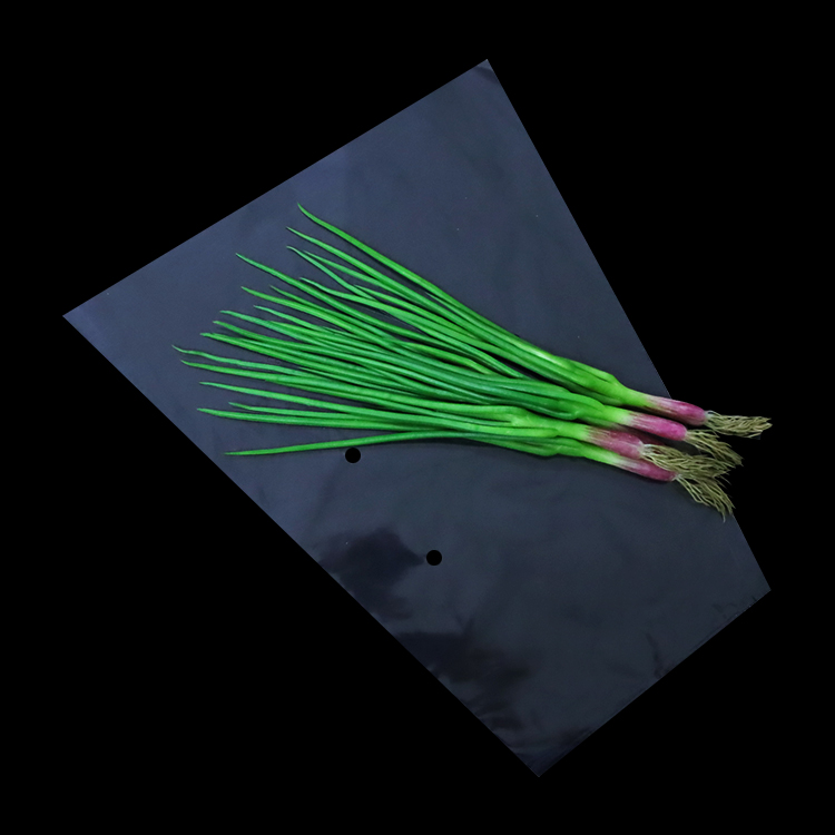 Lesi - Plastic vegetable fruit cellophane bags for food herb cherry ...