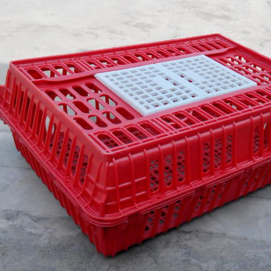 Chicken Crate/ Chicken Slaughter Transport Cage Corollary Equipment For ...