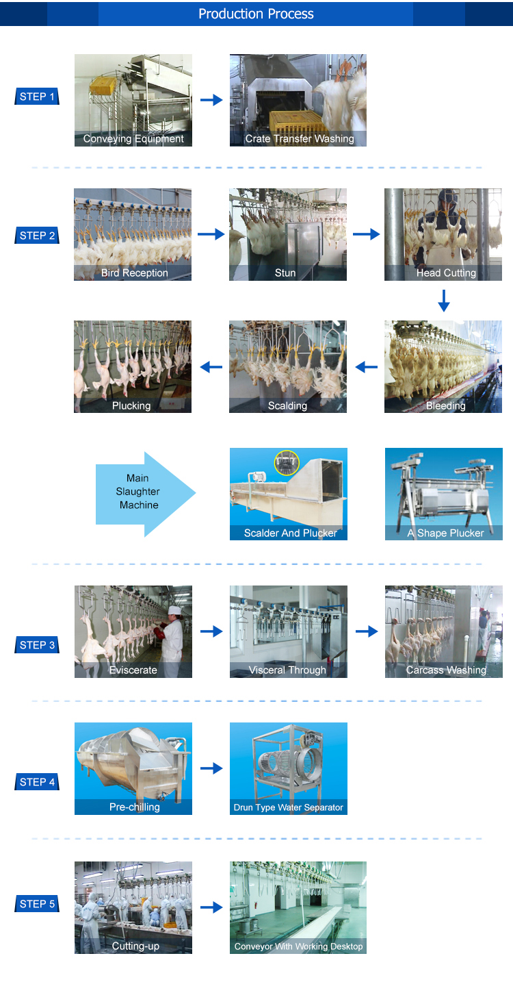 Eruis - High Efficiency Poultry Slaughter Equipment Chicken Scalding ...