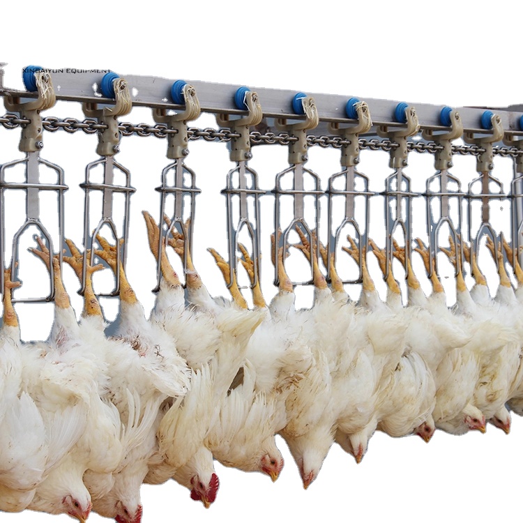 Eruis - Poultry Slaughtering Machine for Poultry Farming House ...