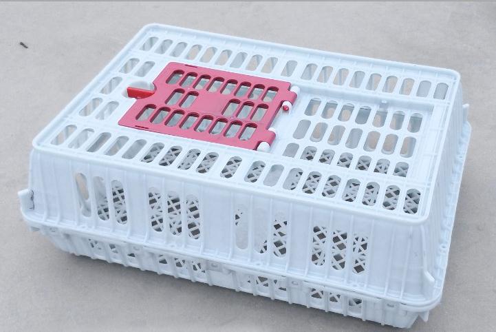 Chicken Crate/ Chicken Slaughter Transport Cage Corollary Equipment For ...