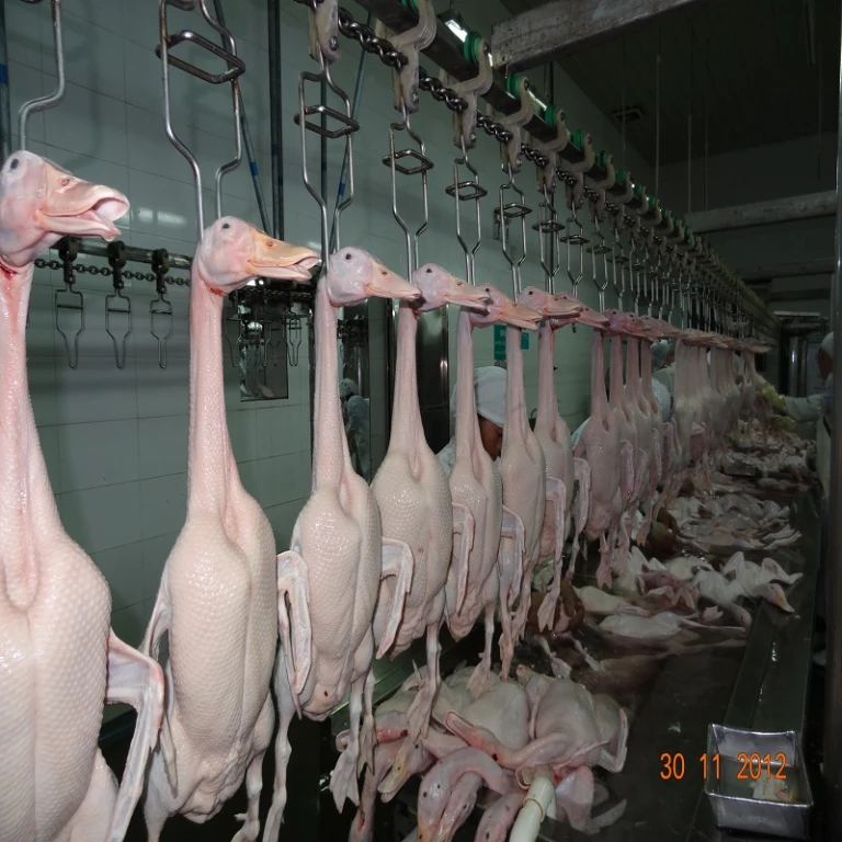 Duck Slaughter