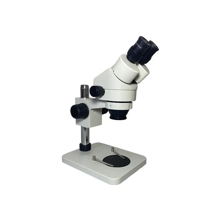 b1 microscope