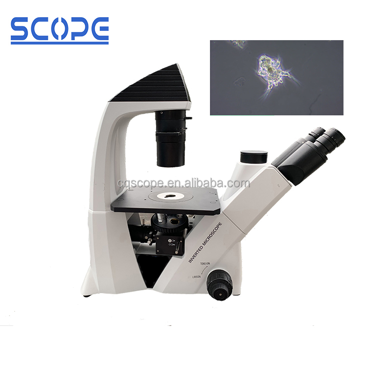 China Microscopy Factory Infinity Optical BDS400 Inverted Biological ...