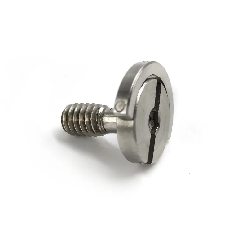 hidden camera screw