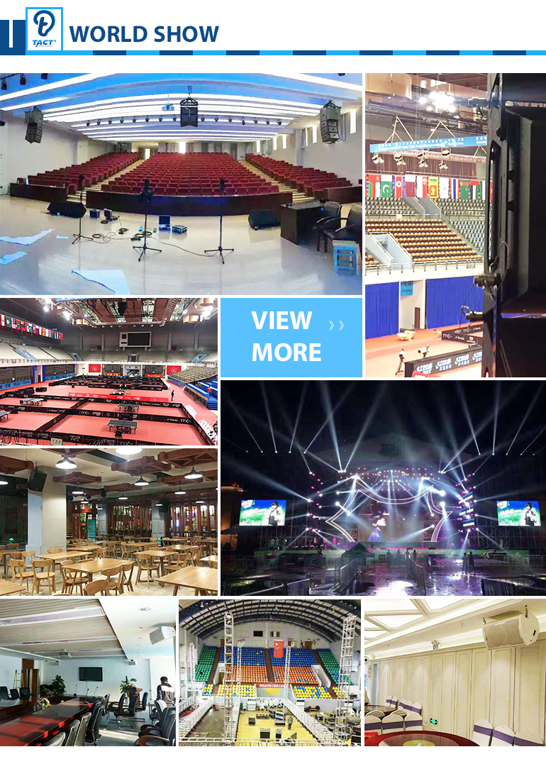 TACT - Active line array speaker system double 10 inch with dsp ...