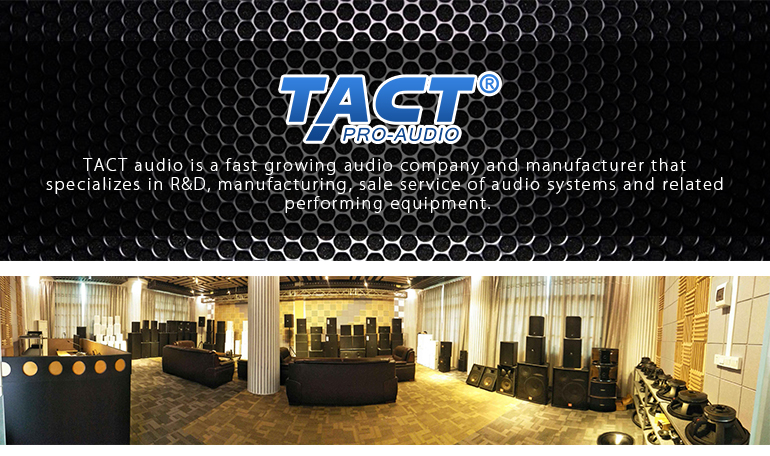 Customized TACT - Dual 12 inch active line array speaker system pro ...