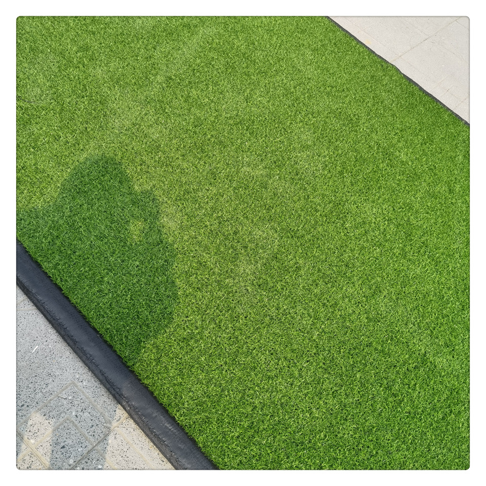 DOLEADER - artificial grass ceiling