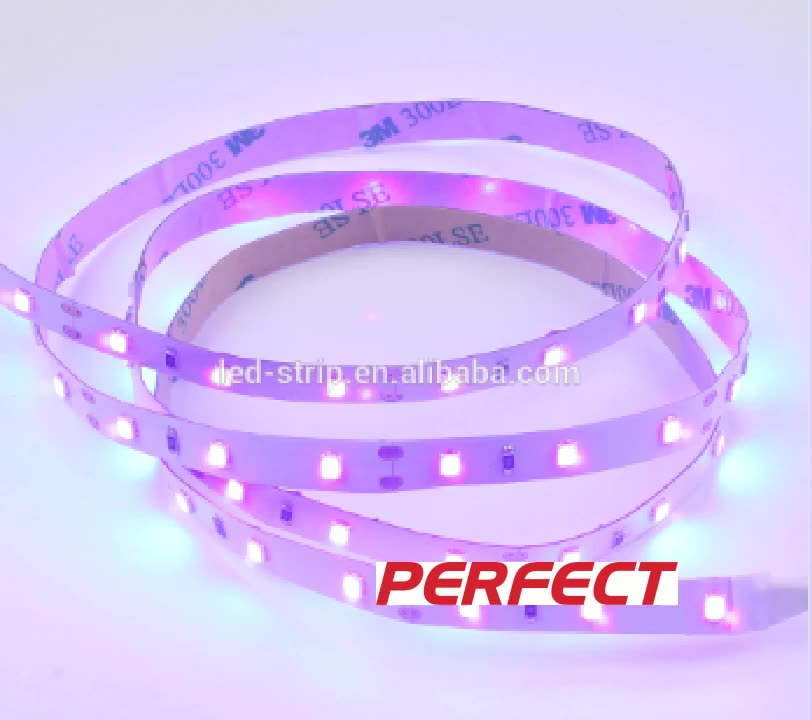 uv led strip purple UVA UV C Germicidal Purple 265nm 360nm 365nm 455nm UV Led Stripes 3535 2835 ...