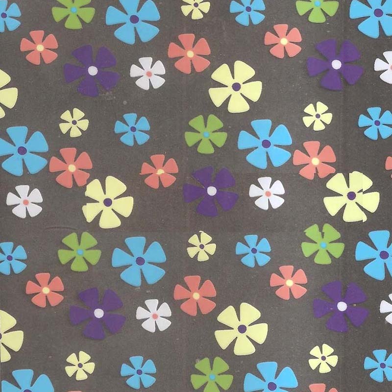 TSAUTOP 0.5/1m Width Hydro Coating Flower What is Hydrographics | TSAUTOP